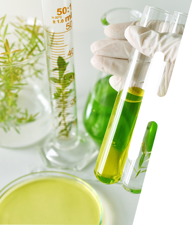 E-Learning Institut Teknologi Sumatera : Search results